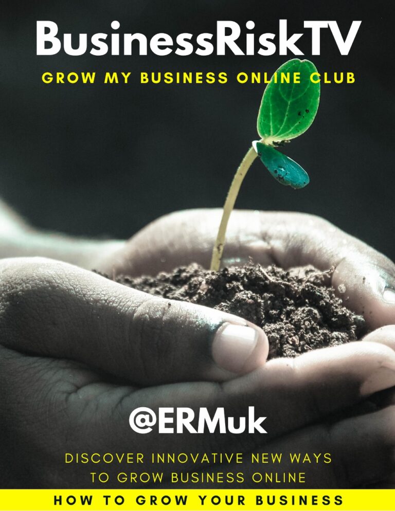 Strategies To Grow A Business Faster – BusinessRiskTV